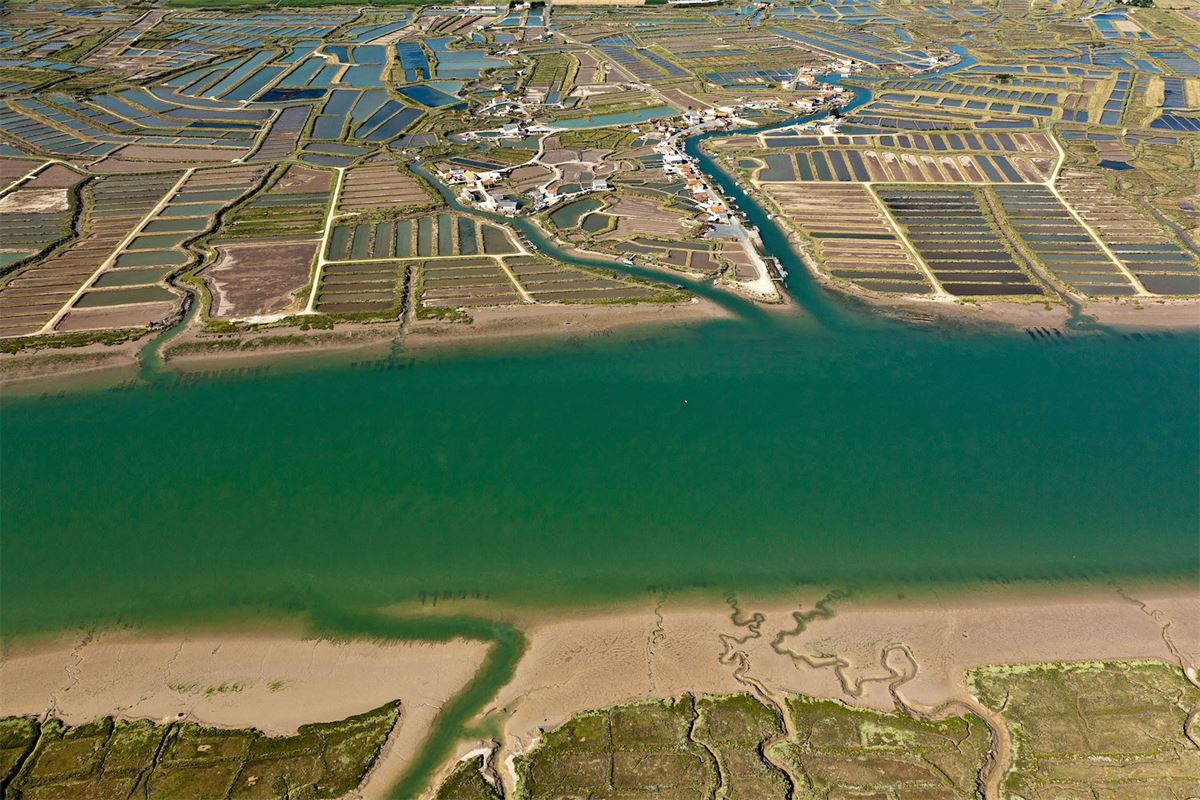 To avoid future water wars, Europe must coordinate water management