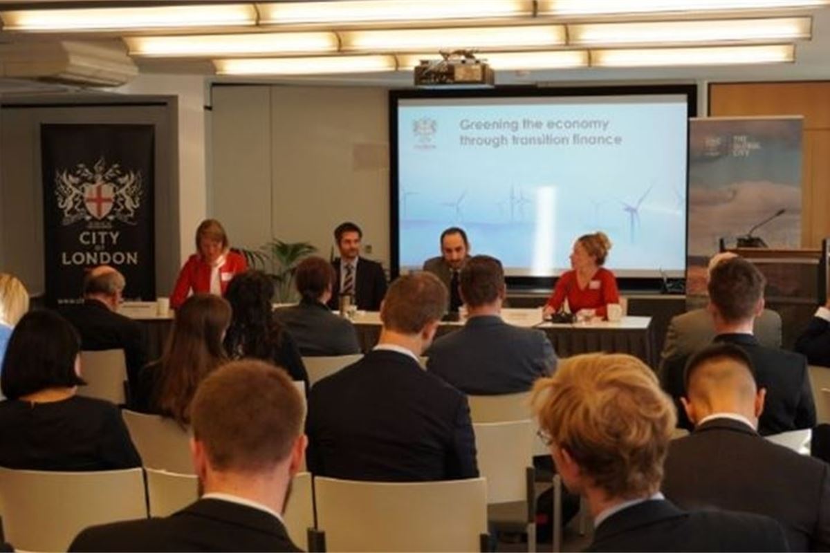 Greening the economy through transition finance