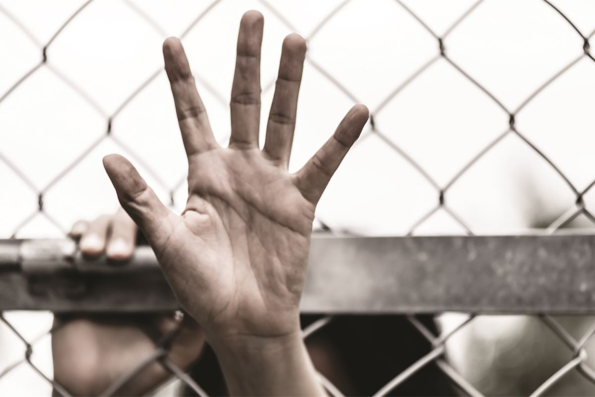 The far reaching consequences of illegal trade