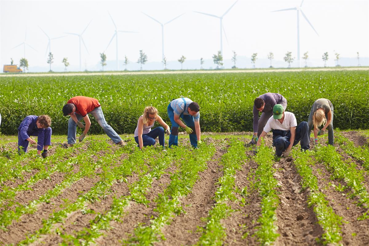 CAP’s social conditionality clause could be a game changer for ...