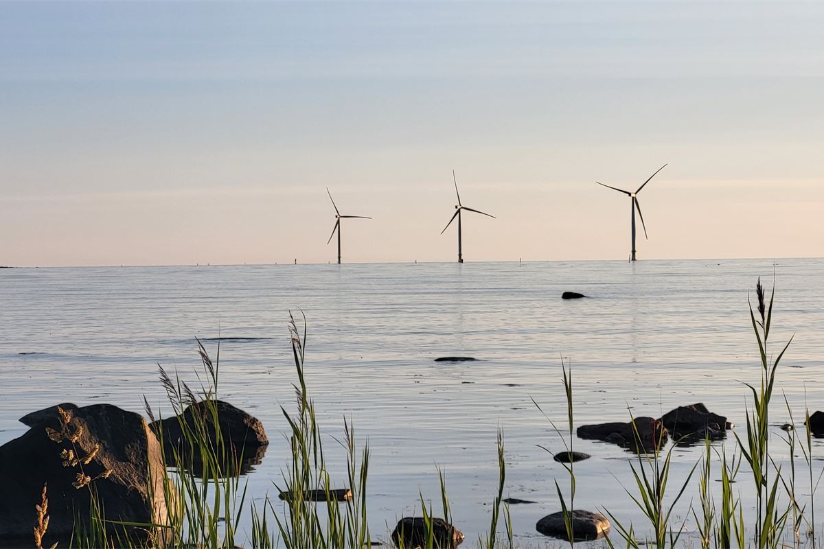 Finland plans to become Europe's first carbon negative economy