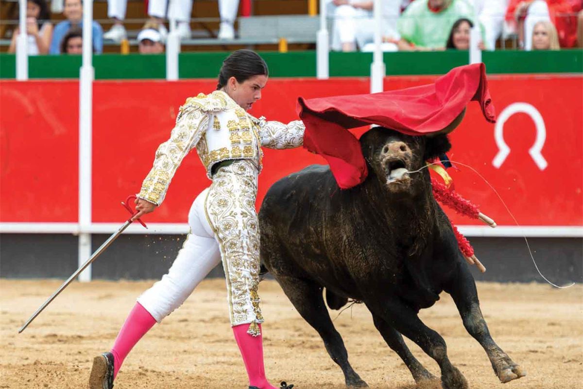 Spanish Bullfighting