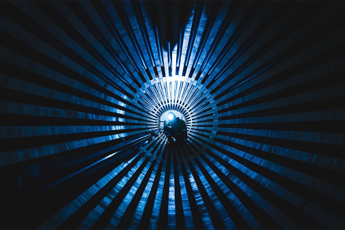 The path to climate neutrality: what is the role of carbon removals and ...